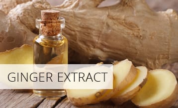 Original GINJER® | The power of the magic spice